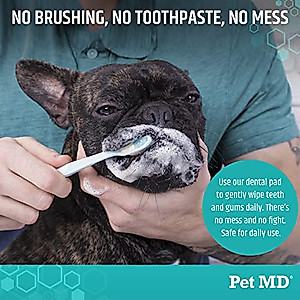 Pet MD Dog Breath Freshener Dental Wipes for Dogs - Tartar and Plaque Remover for Teeth Cleaning - Fresh Apple & Mint Scent Bad Breath Treatment for Dogs - 100 Count