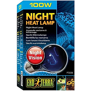 Exo-Terra Night Heat Lamp, 100 Watt
