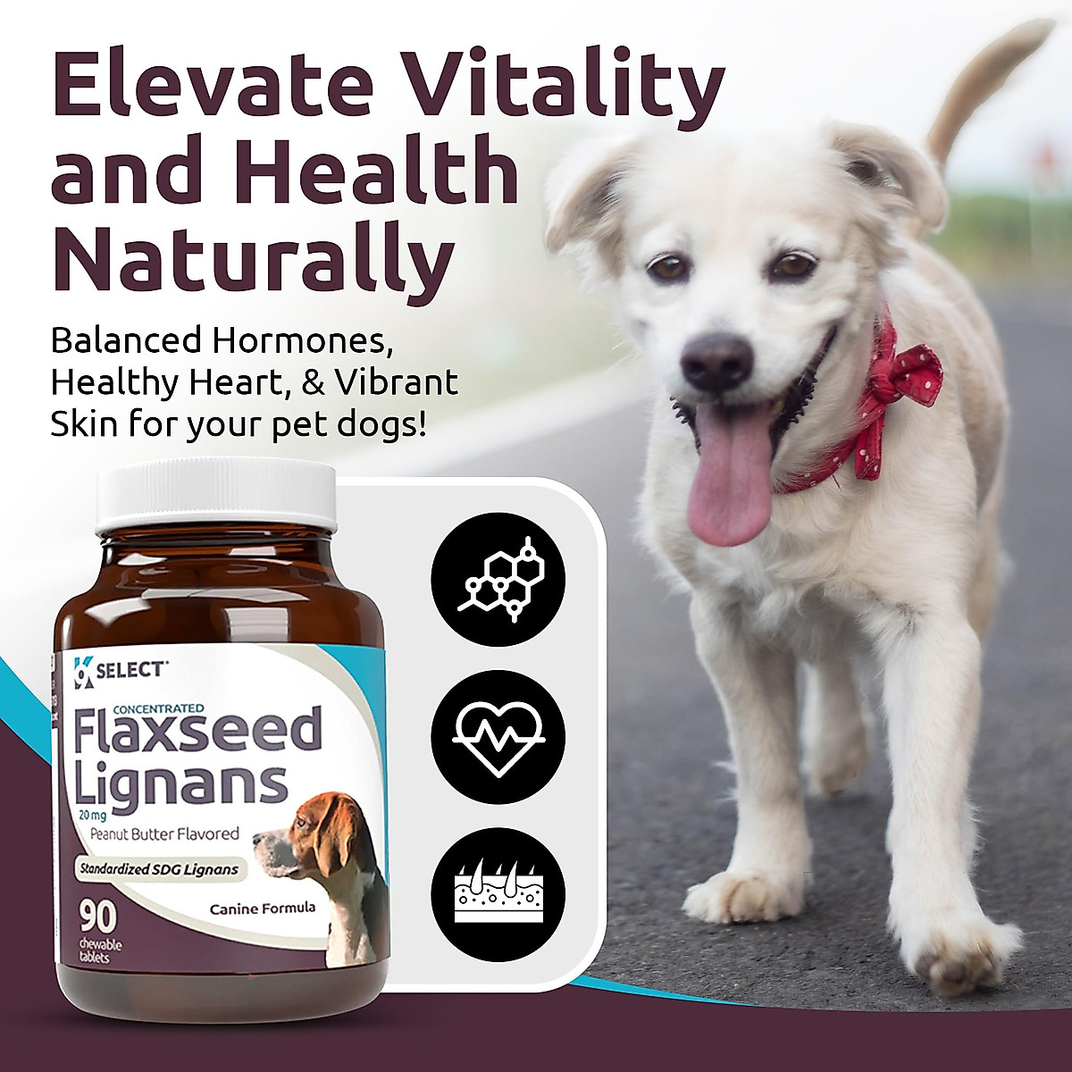 K9 Select Concentrated Flaxseed Lignans for Dogs, 20mg 90 Tablets, Flax Seed Natural Tablets, Peanut Butter Flavored Chewable Tablets, Natural Flaxseed Lignans for Dogs, Flax Impove Dog's Coat