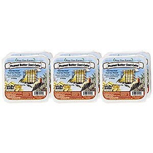 6 Pack Pine Tree Farms Peanut Butter Suet Cake Wild Bird Food 12 Ounce