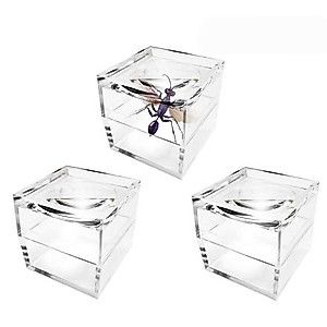 MagniPros Pack of 3 Magnifier Box Bug Viewer Magnifies up to 5X(500%) with Crystal Clear Image