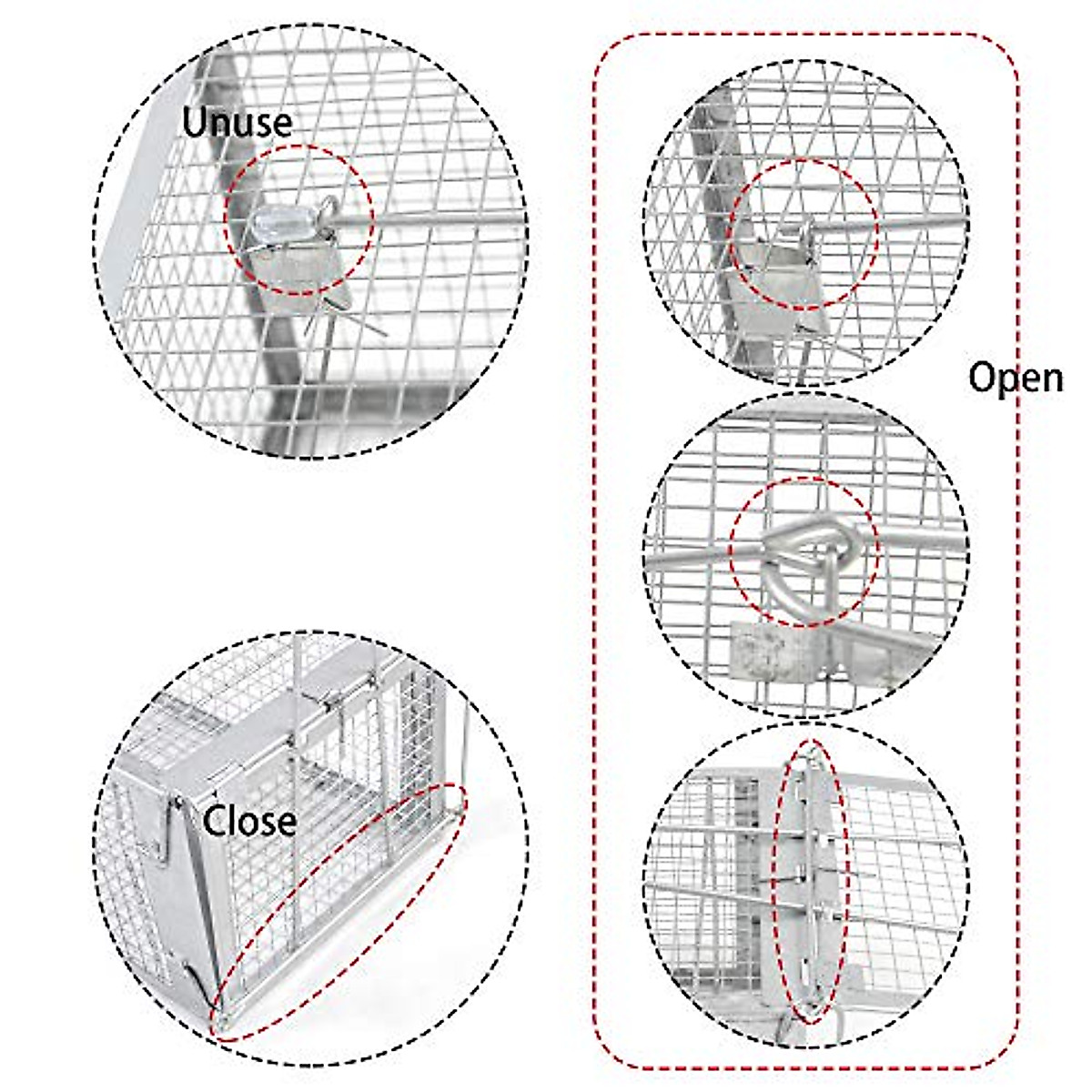 H&B Luxuries Rat Trap - Humane Live Animal Cage for Rat Mouse Hamster Mole Weasel Gopher Chipmunk Squirrels and More Rodents (Small)