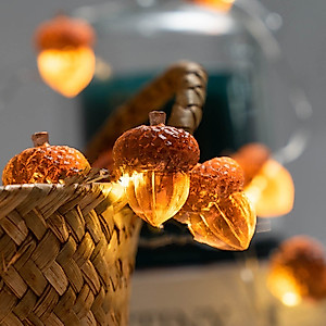3D Acorn Fall Decorations String Lights, Full Size Acorn Christmas Theme 10 feet 30 LEDs 8 Twinkle Modes with Remote for Autumn Harvest Kitchen Baby Shower Thanksgiving Party Home Garden Wreath