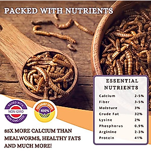 PICKY NEB 100% Non-GMO Dried BSF Larvae Grubs (5 lbs) Bulk - Chicken Treats & Molting Supplement - High-Protein Immune System Booster Snack for Chickens - 85x More Calcium Than Mealworms