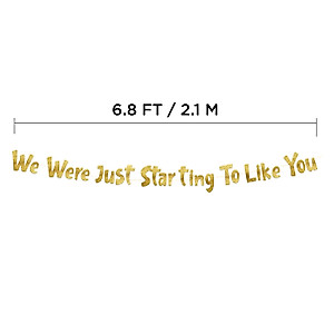 We Were Just Starting To Like You Gold Glitter Banner - Going Away Party - Moving Party - New Job - Will Miss You - Funny Retirement Party Supplies, Gifts and Decorations