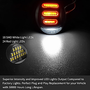 AlyoNed Red OLED Neon Tube LED License Plate Light Tag Lamp Assembly Compatible with Ford F-150 F-250 F-350 F-450 F-550 Super Duty Explorer Expedition Ranger Excursion Bronco Truck Pickup