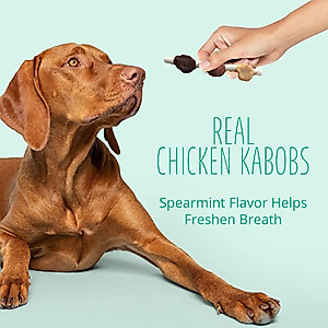 Better Belly® Dental Kabobs, 10 kabobs, Dental Dog Chews with Breath-Freshening Spearmint