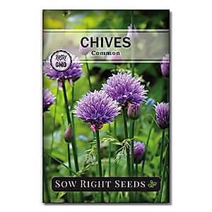Sow Right Seeds - Herb Garden Seed Collection - Basil, Chives, Parsley, Cilantro, Oregano, Dill, Lavender, Marjoram, Sage & Thyme - Non GMO Heirloom - Instructions to Plant an Outdoor or Indoor Garden