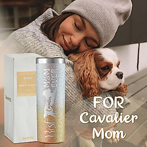 Onebttl King Charles Cavalier Gifts for Women, Unique 20oz Cavalier Tumbler with Lid and Straw, Cavalier King Charles Spaniel Gifts for Cavalier Lovers - Silver Gold