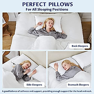 HomeMate Bed Pillows for Sleeping - Queen Size(20''x28'') Set of 2 Allergy Friendly Microfiber Shell Fluffy Down Alternative Filling Breathable Pillow Suitable Back Stomach or Side Sleepers, White