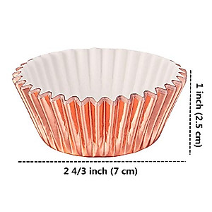 Foil Cupcake Liners Metallic Muffin Paper Cases Baking Cups Gold Sliver Rose Gold Pack of 300