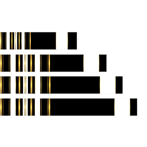 White Water Archery Laminated Black Background White Stripe Traditional 17 Crest Arrow Wraps 15 pk Choose Length Width (8, 1.4)