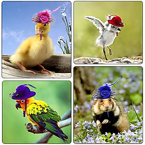 2 Pieces Chicken Hats for Hen Mini Pet Hat Accessories Feather Top Helmet Funny Small Hat Adjustable Elastic Chin Strap Rooster Parrot Poultry Stylish Animal Pet Show Costume