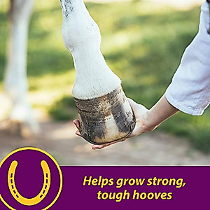 Horse Health Shur Hoof Hoof Supplement for Horses, Helps Grow Strong, Tough Hooves, 2.5 Pound, 40 Day Supply