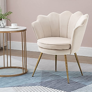 ZJhome Modern Accent Velvet Chairs Set of 2 Comfy Upholstered Vanity Chairs for Bedroom Shell-Shaped Armchair Dining Chairs with Golden Metal Legs Desk Chair Makeup Chairs for Living Room(Beige)