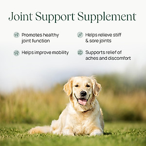 pawTree Joint & Hip Support Supplement for Dogs with Glucosamine, Chondroitin, MSM, Tumeric & Green Lipped Mussels - Vitamins, Supplements & Health Essentials - All-Natural Mobility Soft Chews