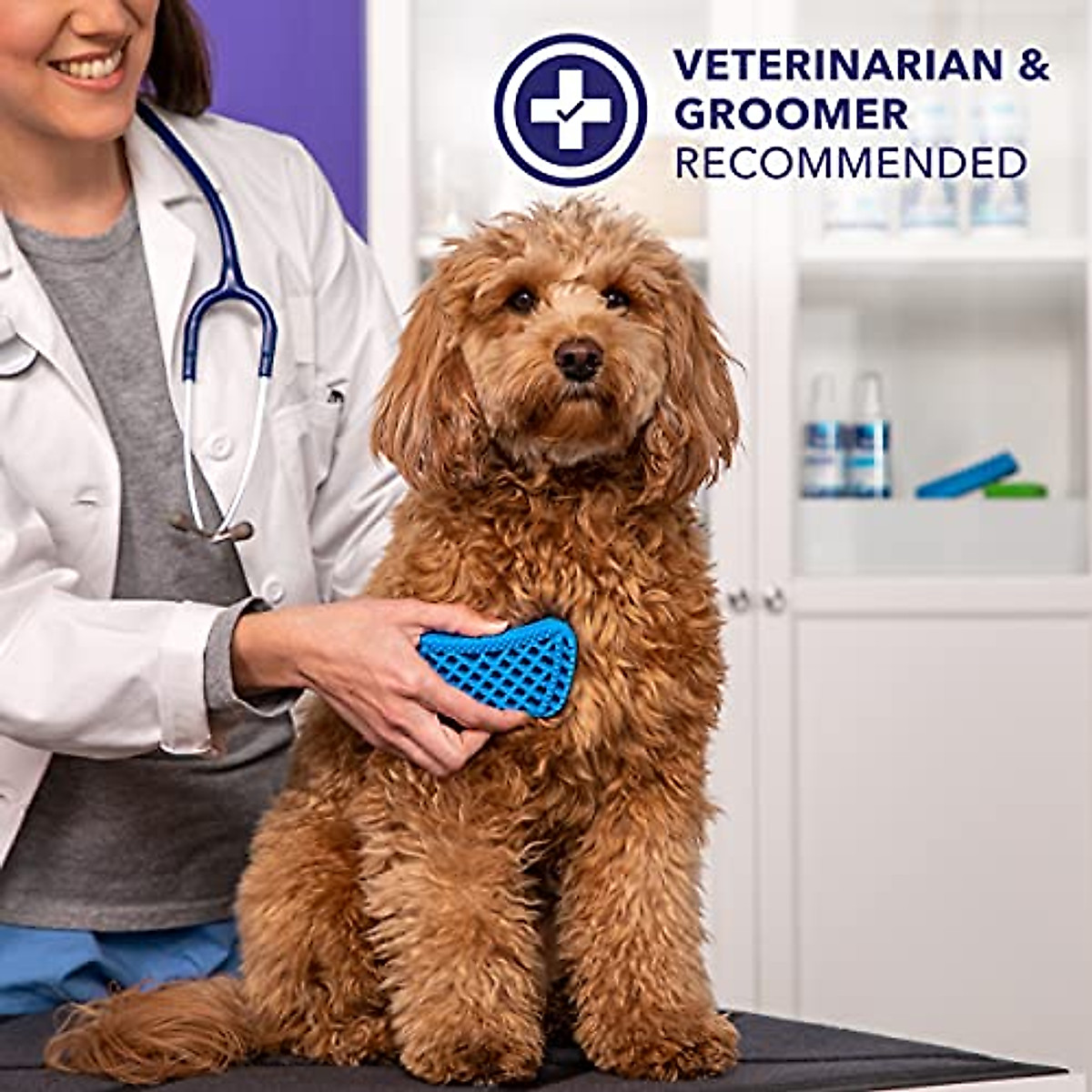 Furbliss Dog Brush for Grooming, Brushing and Bathing Dog & Cats, Great for the Bath Deshedding and Massaging Your Pet, 1 Soft Pet Brush - by Vetnique Labs (Short Hair Pet)