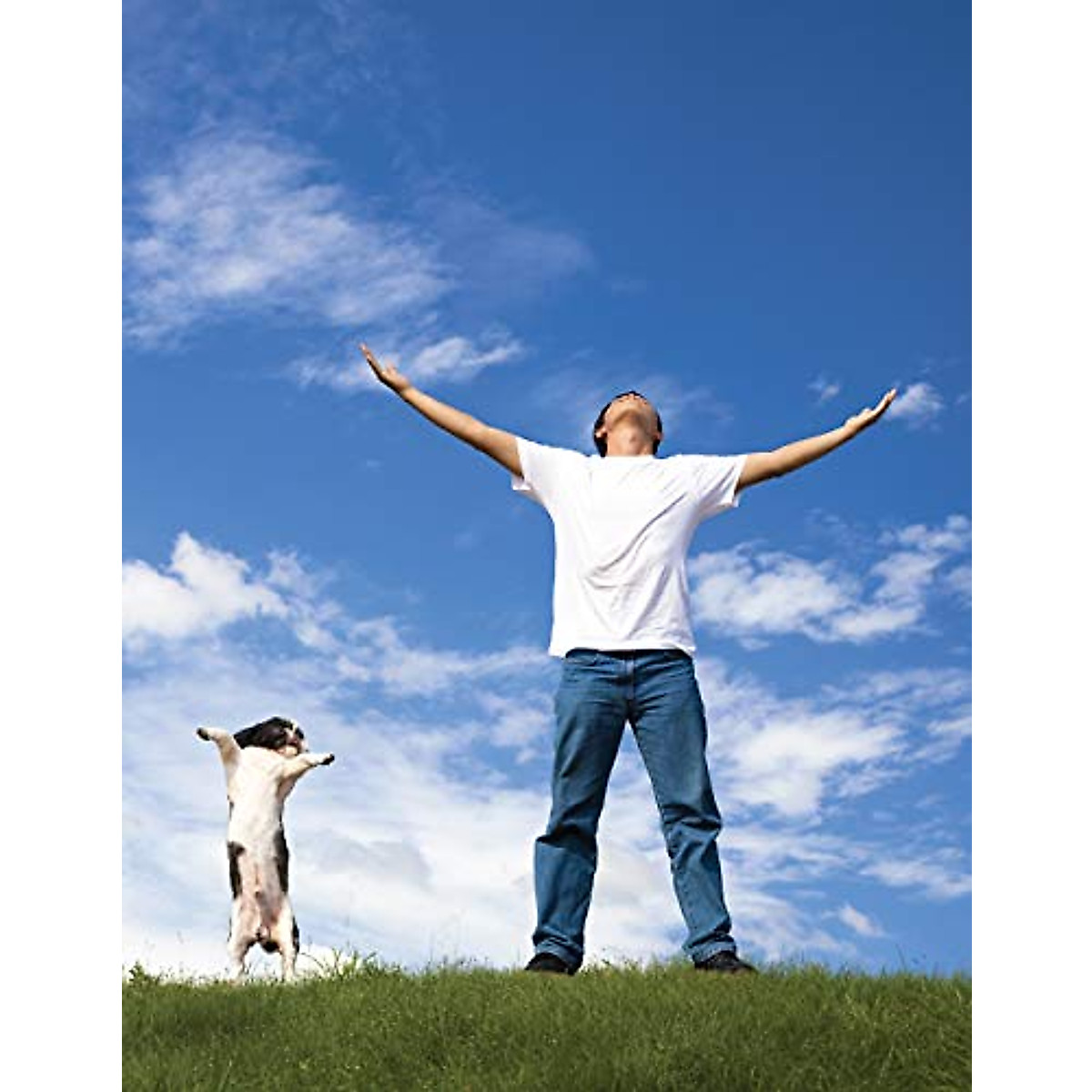 The Dog Behavior Problem Solver: Step-by-Step Positive Training Techniques to Correct More than 20 Problem Behaviors (CompanionHouse Books) Fix Barking, Separation Anxiety, Chewing, Begging, and More