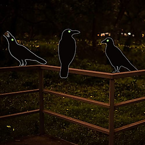 Halloween Fence Decorations, Outdoor Scary Black Crows Raven Large Garden Yard Decor, Corrugated Plastic Waterproof Fence Decorations for Yard Garden Patio Deck