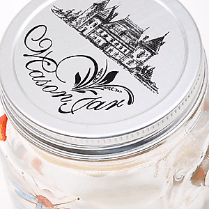 Topadorn 21oz Glass Mason Jar with Handle and Lid,Flower