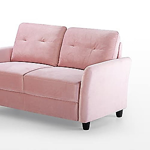 ZINUS Ricardo Velvet Loveseat Sofa, Easy, Tool-Free Assembly, Blush Velvet
