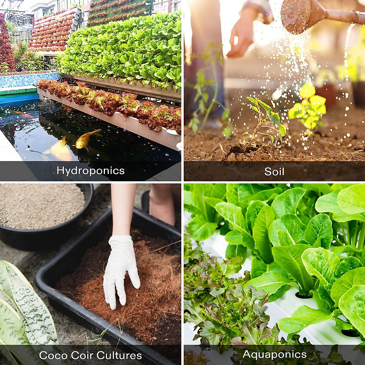 VIVOSUN Plant Food Nutrients Bundle for Indoor & Outdoor