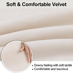 Smiry Velvet Stretch Chair Covers for Dining Room Set of 2, Soft Fit Removable Washable Kitchen Parsons Chair Slipcover Protector, Cream