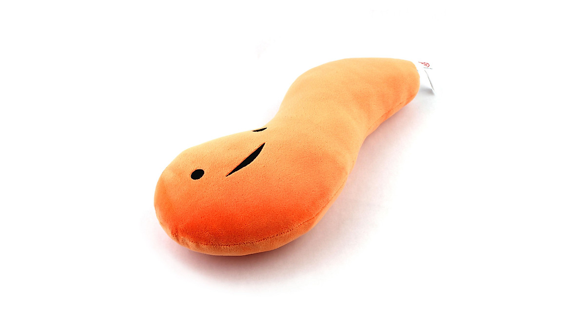 I Heart Guts Appendix Plush - Fun & Cute 14" Organ Toy for Kids ...