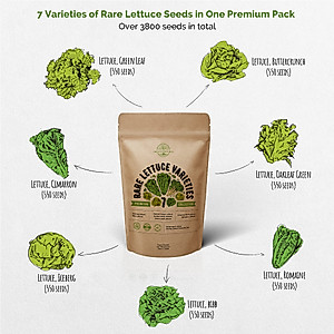 Organo Republic 7 Lettuce Seeds Variety Pack - Non-GMO Heirloom for Lettuce Hydroponic, Aerogarden, Indoor & Outdoors. 3800+ Seeds: Bibb, Romaine, Iceberg, Green Oakleaf, Red Leaf Lettuce