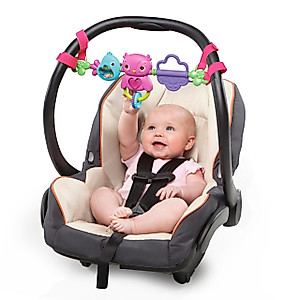 Bright Starts Busy Birdies Carrier Toy Bar Musical Take-Along Toy with Lights, Ages Newborn +, Pink