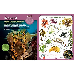 Backpack Explorer: Beach Walk