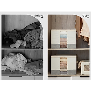 LoforHoney Home Bundle- Storage Baskets with Clear Window,2-Pack & Storage Bins with Lids, Beige & Gray, 2-Pack