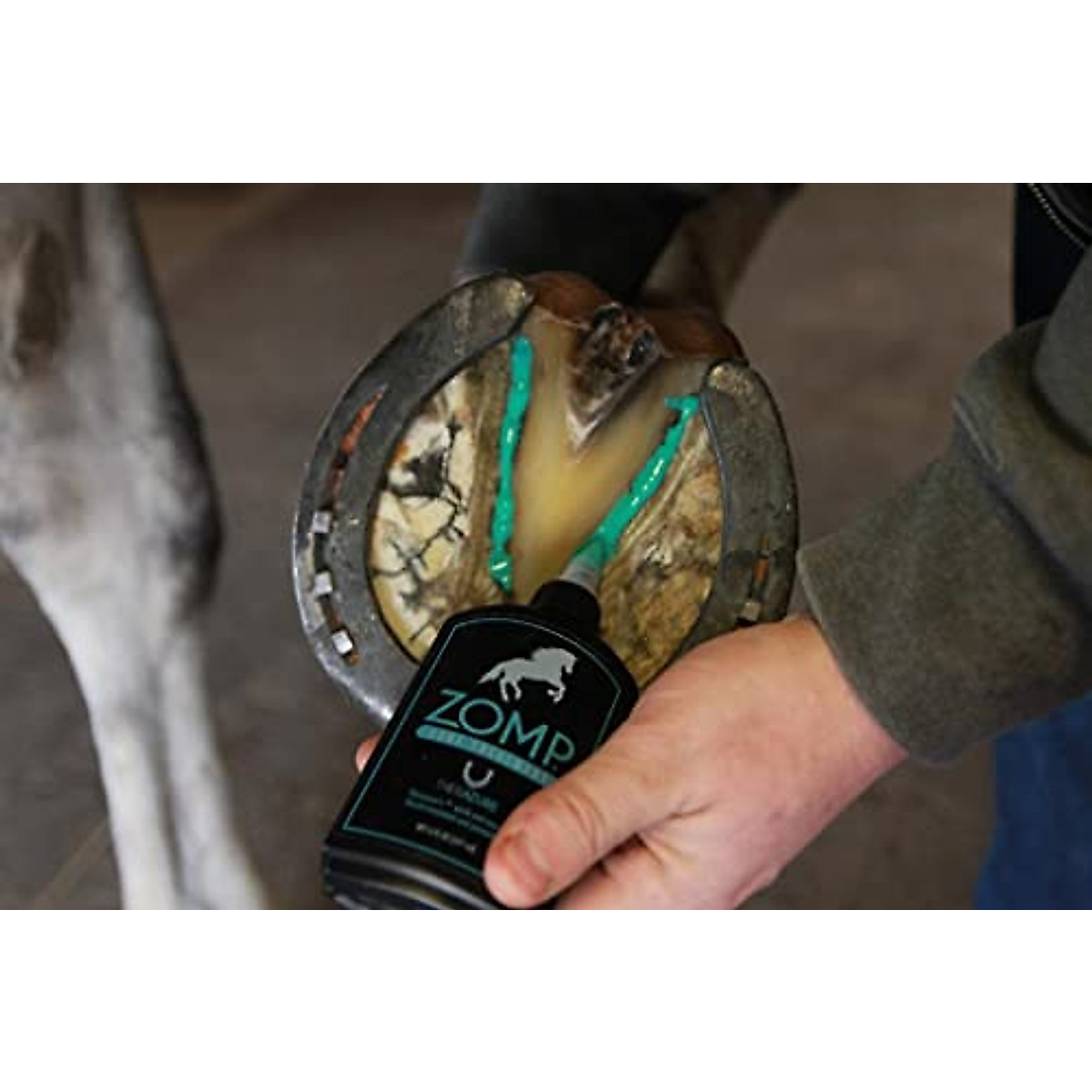 Therazure Zomp Liquid Hoof Thrush and White Line Treatment for Horses: Effective for Thrush Relief and Prevention on All Hooved Animals
