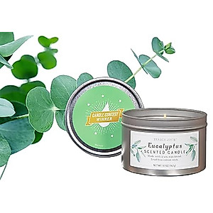 Trader Joe's Eucalyptus Scented Soy Candle (2 Pack)