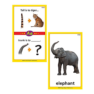Super Duper Publications | Webber® Photo Flash Cards Analogies Early Reader | Educational Learning Resource for Children