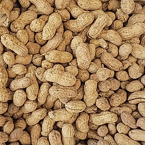 Wildlife Elements Peanut Party in-Shell Peanuts for Birds, Squirrels, Wild Animal Food, 25 Pound Bag