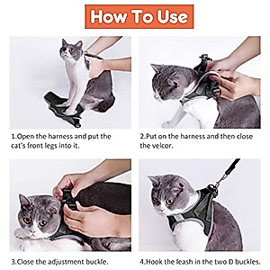 FAYOGOO Cat Harness and Leash for Walking Escape Proof, Adjustable Cat Leash and Harness Set, Lifetime Replacement, Lightweight Kitten Harness, Easy Control Breathable Cat Vest with Reflective Strip