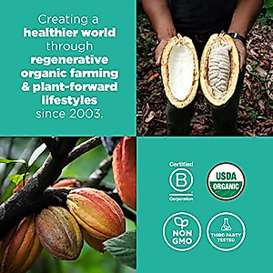 Navitas Organics Cacao Sweet Nibs, 4oz. Bag, 28 Servings — Organic, Non-GMO, Gluten-Free