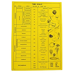 EISCO 12 Piece Deluxe Fossil Collection - Includes 12 Samples, Information Cards and a Geological Timescale - Great for Introductory Fossil Study
