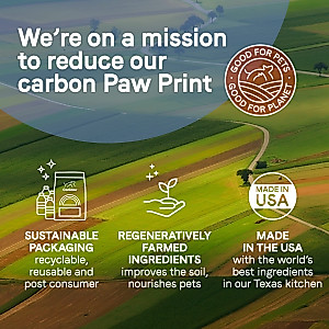 Canidae Pure Petite Premium Freeze-Dried Raw Coated Puppy Food for Small Breeds, Real Salmon Recipe, 10 lbs, Grain Free