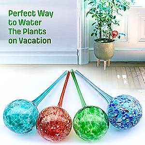 Pirhom Large Plant Watering Globes-Set of 4 | Durable Glass Automatic Waterer for Indoor Outdoor Plants | Up to 2 Weeks Hands Free | Ideal for Vacation Watering & Garden Decoration | 12"x3.5"