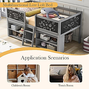 Low Loft Bed with 2 Movable Storage Shelves, Twin Size Bed Frame with Chalkboard and Ladder, Wood Loft Daybed for Kids, Boys, Girls, Teens, No Spring Box Required, Gray