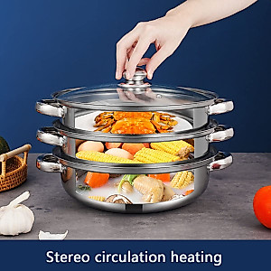 Steamer Pot for Cooking 11 inch, Steam Pots with Lid 2-tier Multipurpose Stainless Steel Steaming Pot Cookware with Handle for Vegetable