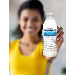 Blue Ribbon Kirkland Signature Purified Drinking Water 16.9 Fl Oz (Pack of 40, Total of 676 Fl Oz)