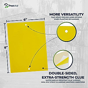 Yellow Sticky Traps For Gnats (20 Pack) - Sticky Gnat Trap - Gnat Killer - Fruit Fly Paper - Fly Traps Indoor Sticky-Yellow Sticky Traps Fungus Gnat - Sticky Traps For Plants - Fruit Flies -Dual-Sided