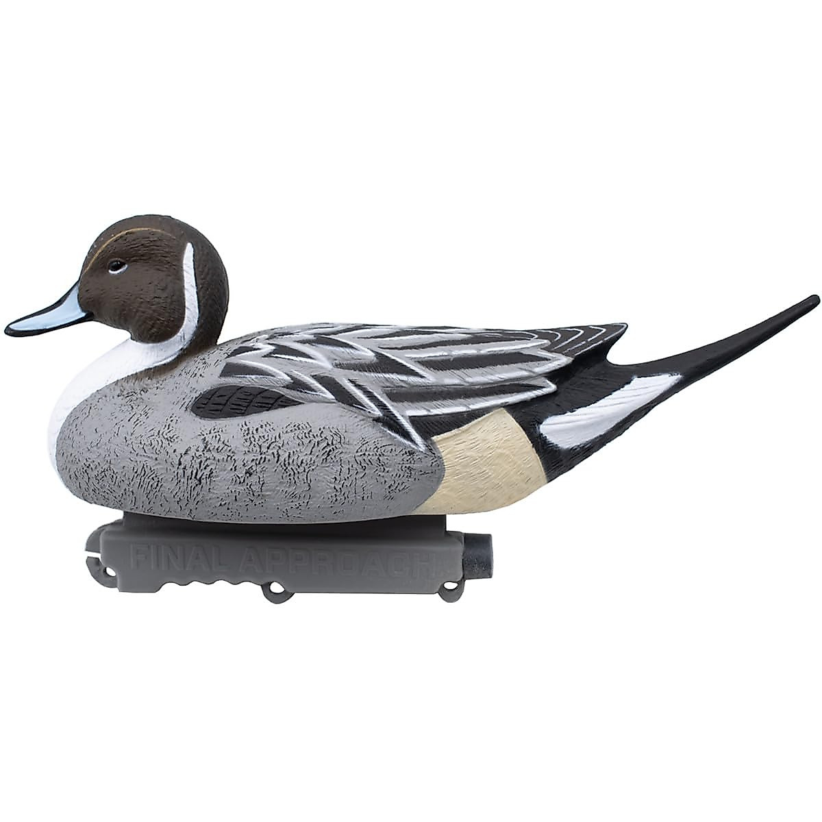 Final Approach Last Pass Floating Pintail Decoy, 12 Pack