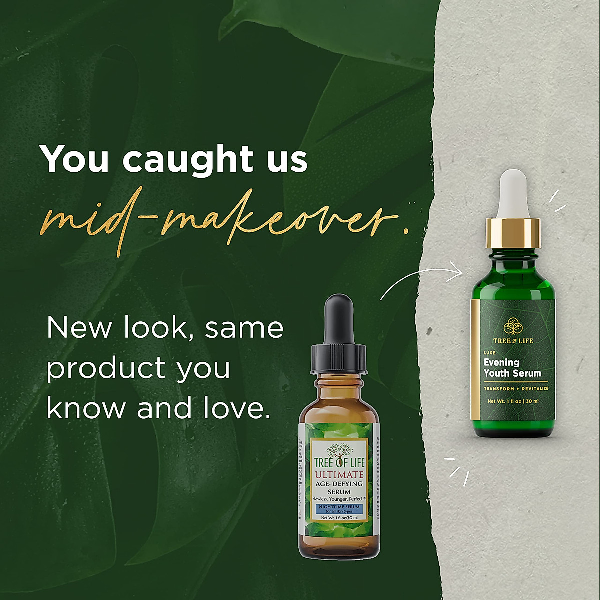 Tree of Life Beauty Anti-Aging Luxe Evening Youth Facial Serum | Age Defying Face and Skin Care, 1 Fl Oz