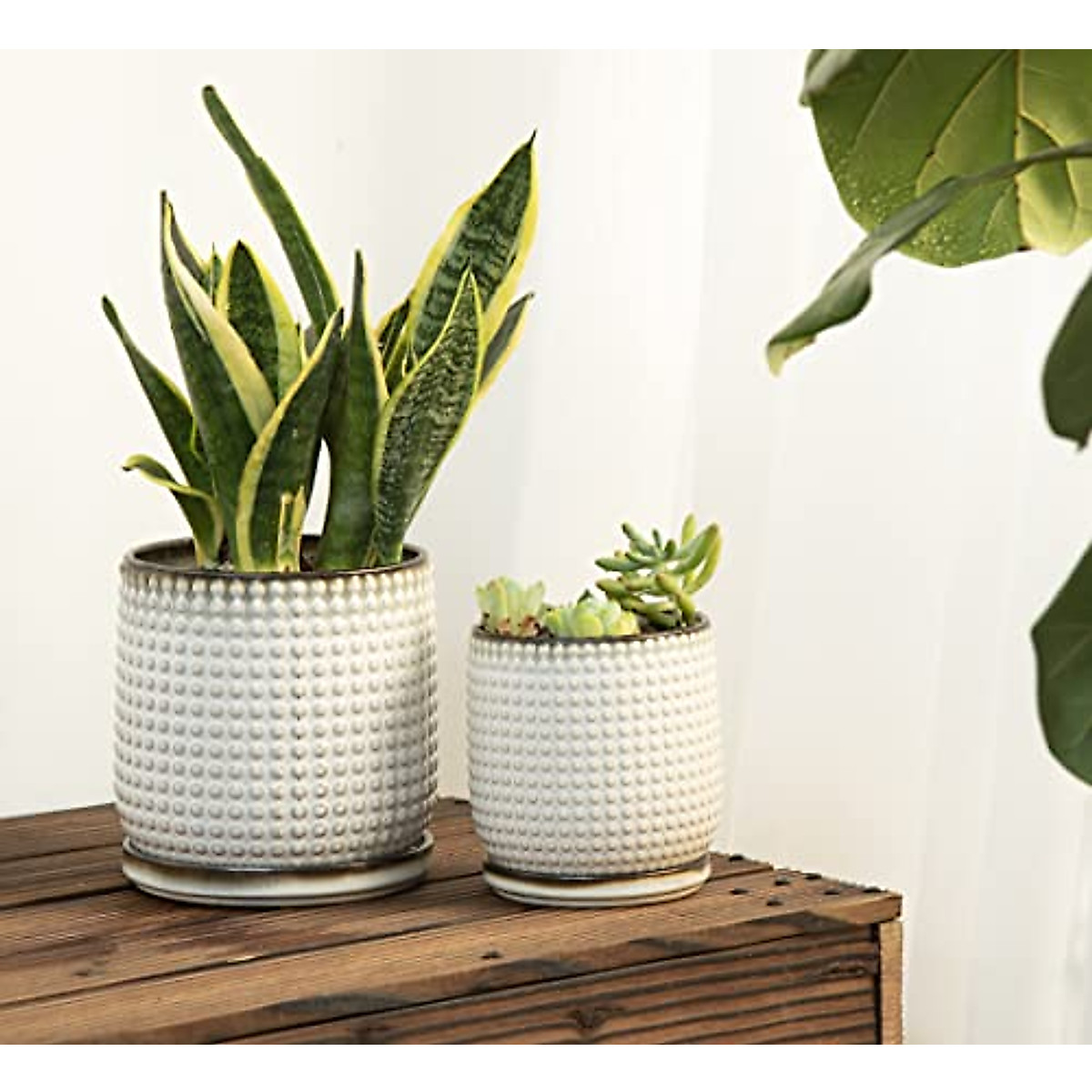 Set of 2, 6 Inch & 4 Inch Ceramic Indoor Planter Pots with Drainage Hole and Saucer, Beaded Design Flower Pots, Smoked White, 27-H-B-SW-ZS