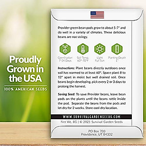 Survival Garden Seeds - Provider Bush Bean Seed for Planting - Packet with Instructions to Plant and Grow Stringless Green Beans in Your Home Vegetable Garden - Non-GMO Heirloom Variety
