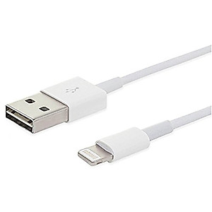 Apple 16GB iPad Air Wi-Fi Silver MGLW2LL/A (Renewed)